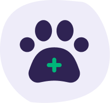 Dental Loans | Jacaranda Finance